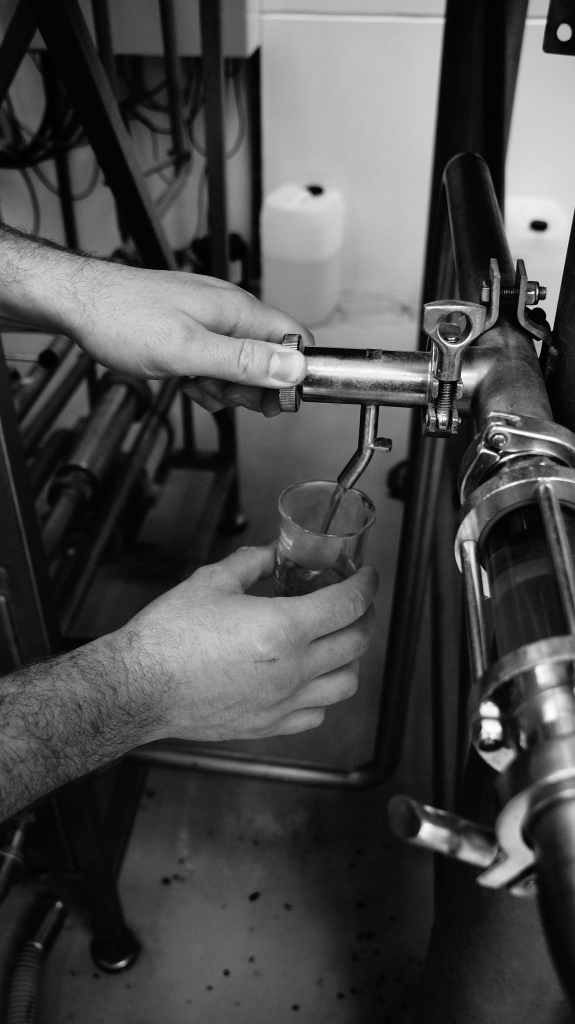 Crafty Brewing | Award Winning Brewing Company In Surrey